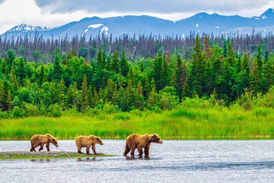 Experience Cruising Differently | World Travellers - World Travellers